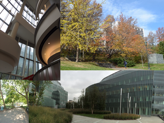 Location & Contact – Martin Lab